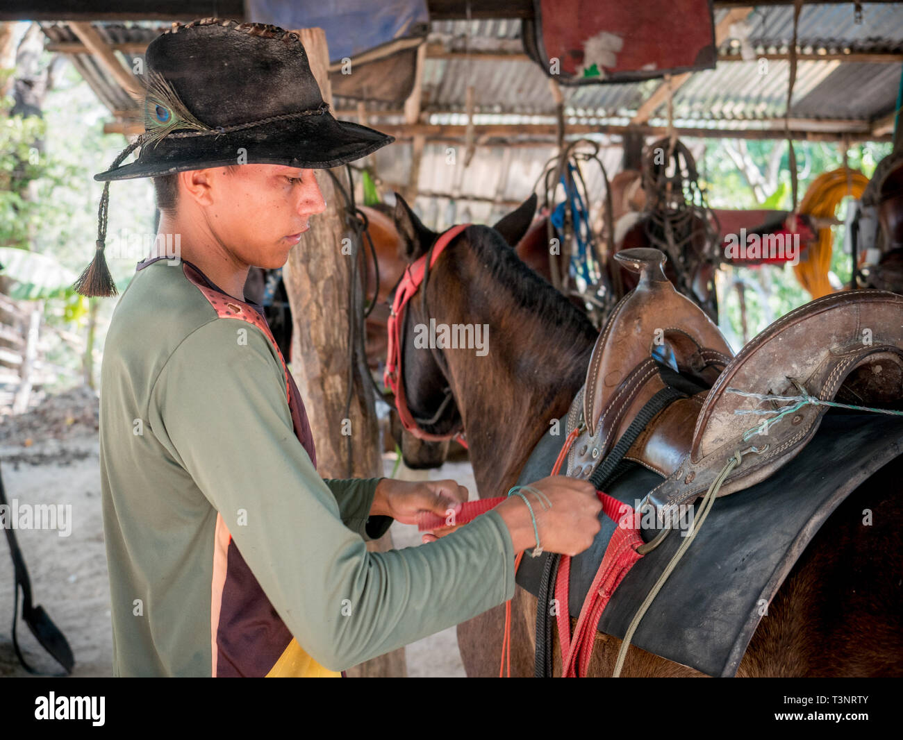 Alamy yopal casanare hi-res stock photography and images - Alamy