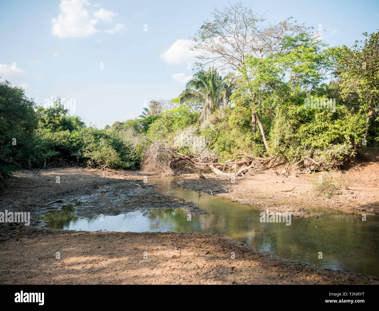 Alamy yopal casanare hi-res stock photography and images - Alamy