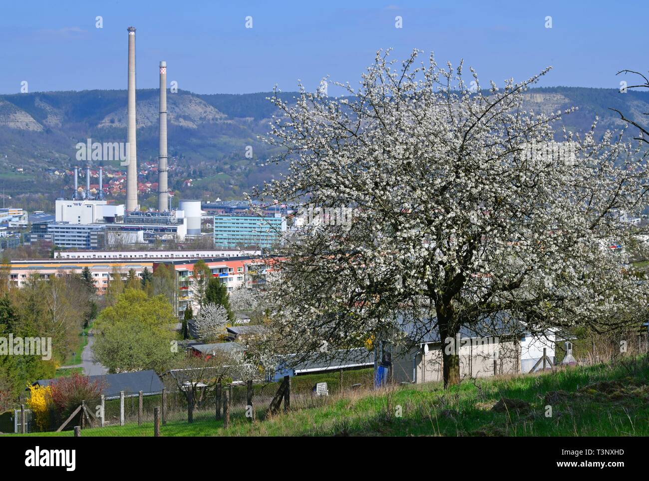 Jena, Germany. 10th Apr, 2019. The chimneys of the TEAG heating power ...