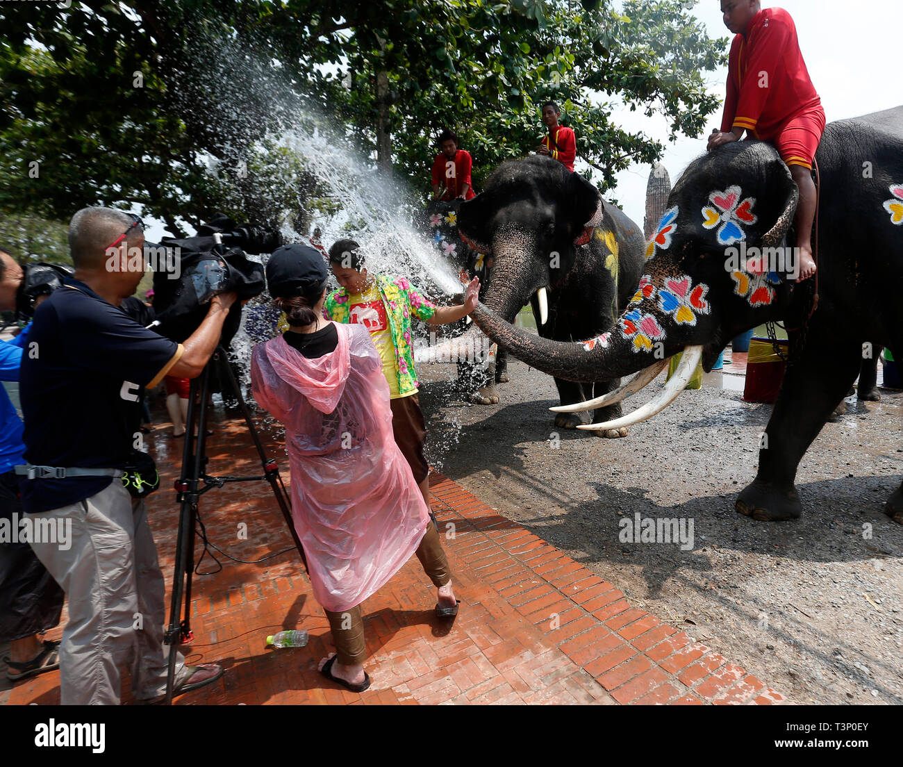 Elephants spray water on people during an interview with the mahout for ...