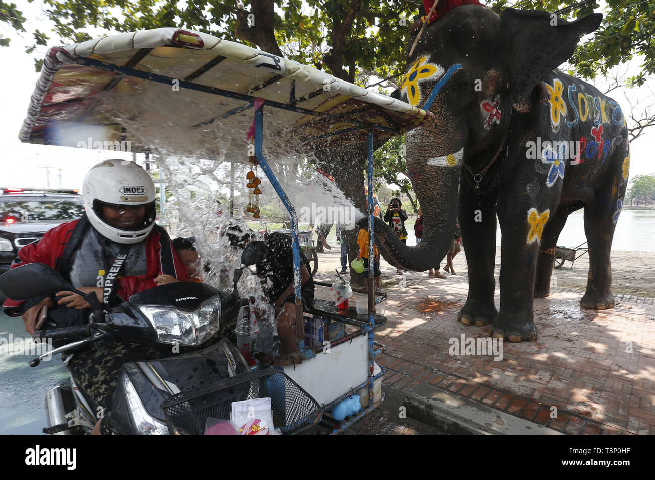 Ayutthaya, Thailand. 11th Apr, 2019. A elephant spray water on a local ...