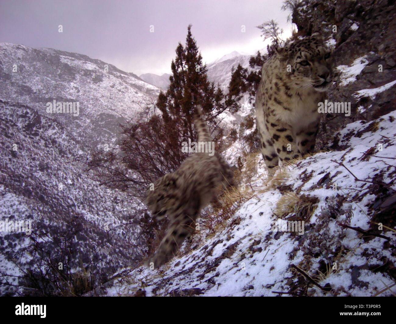 Three River Source Region High Resolution Stock Photography and Images ...