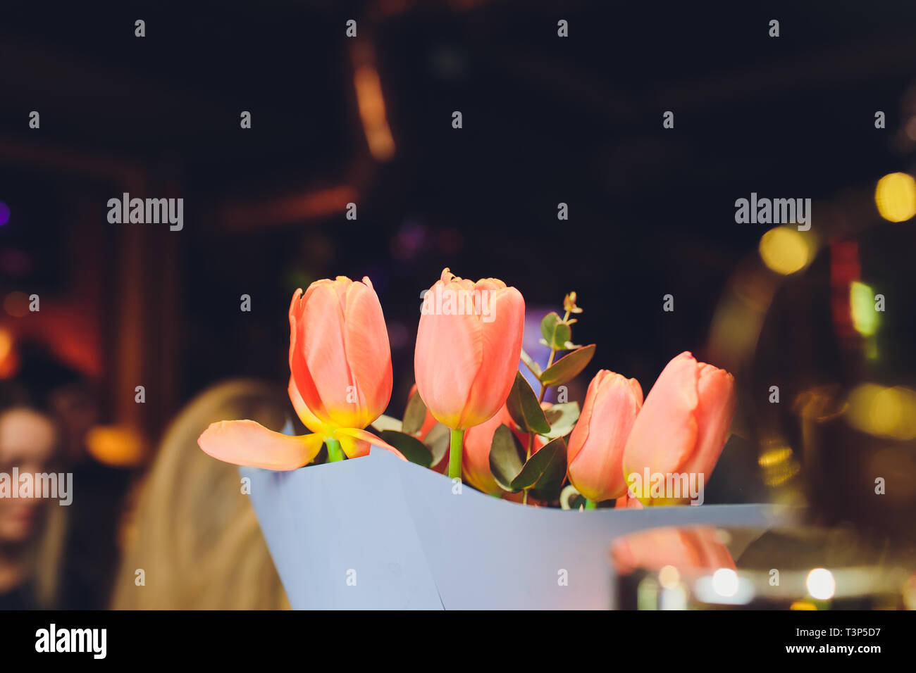 Pink and white tulip behind bars color Stock Photo - Alamy