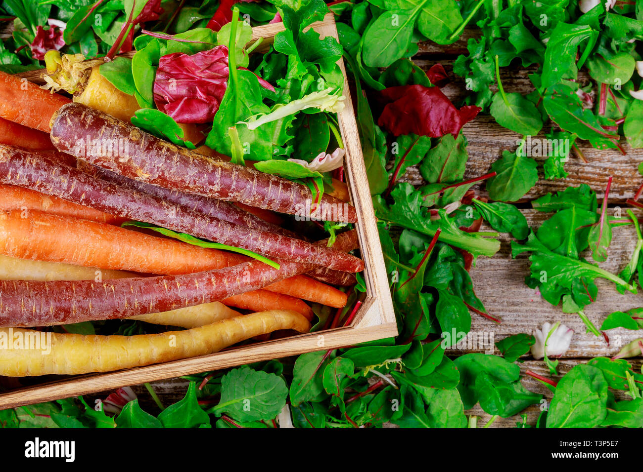 Multicolor lettuce leaf hi-res stock photography and images - Alamy