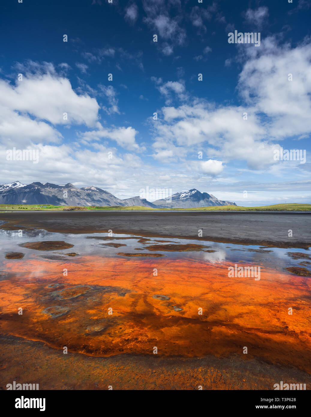 Summer landscape with beautiful sky on a sunny day. Swamp at the bottom ...