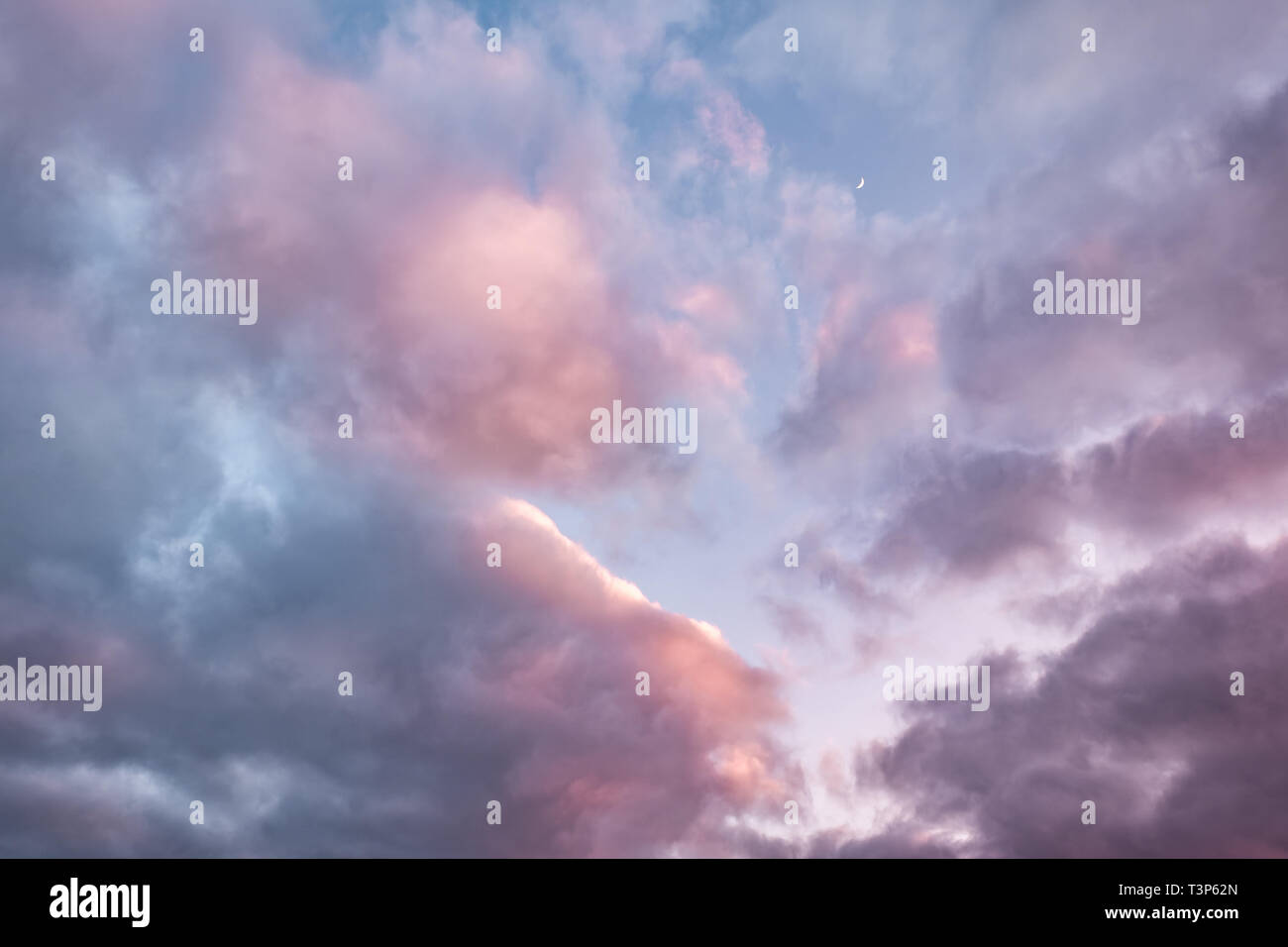 Blue sky background with evening fluffy curly rolling altocumulus altostratus clouds with ...