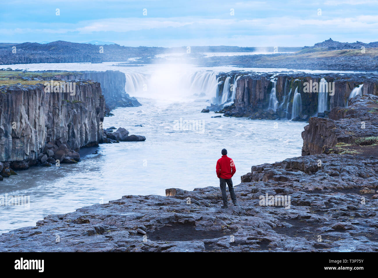 Selfoss waterfall. Guy in a red jacket looks at a cascade of water ...