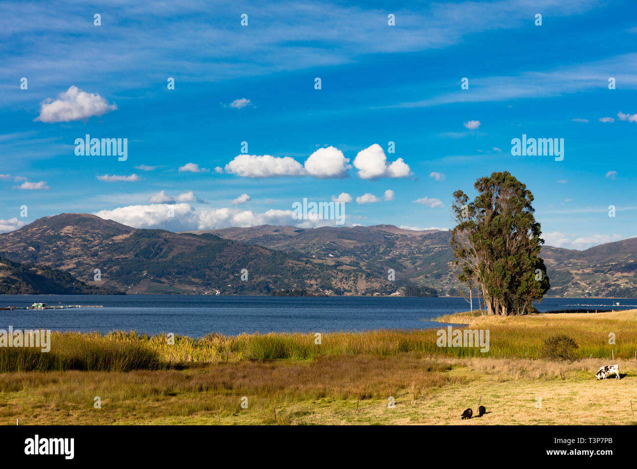 Laguna de Tota Lake Boyaca in Colombia South America Stock Photo - Alamy
