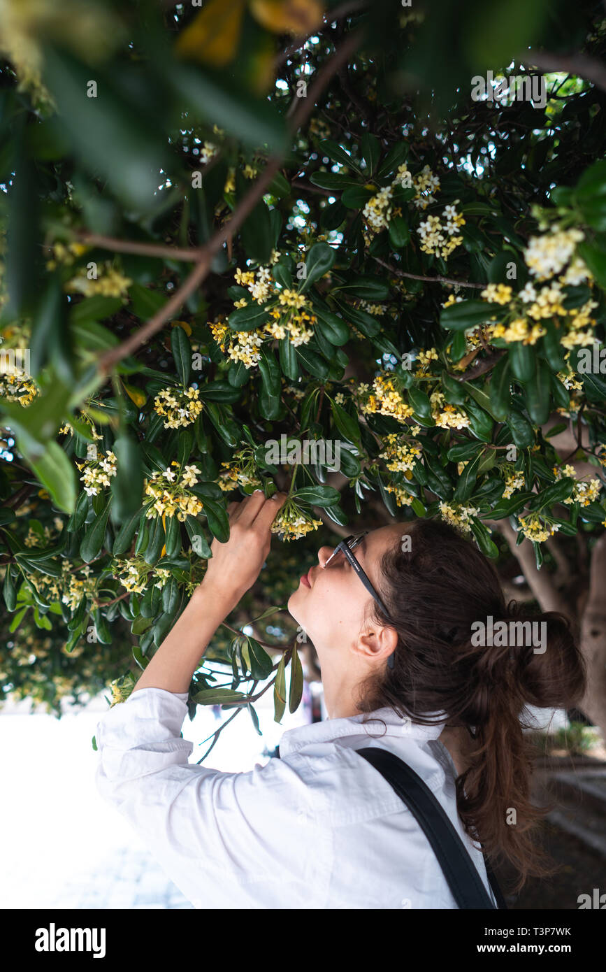 Beautiful woman smelling trees' flowers. Spring time Stock Photo - Alamy