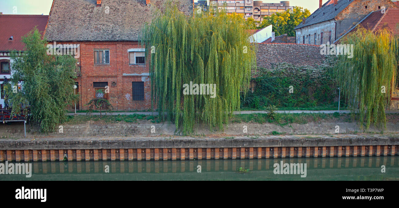Weeping willow riverbank hi-res stock photography and images - Alamy