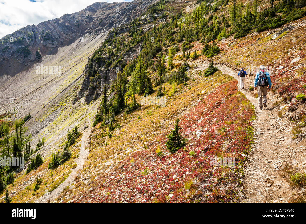 Two men hiking up some switchbacks in the North Cascade mountains on ...