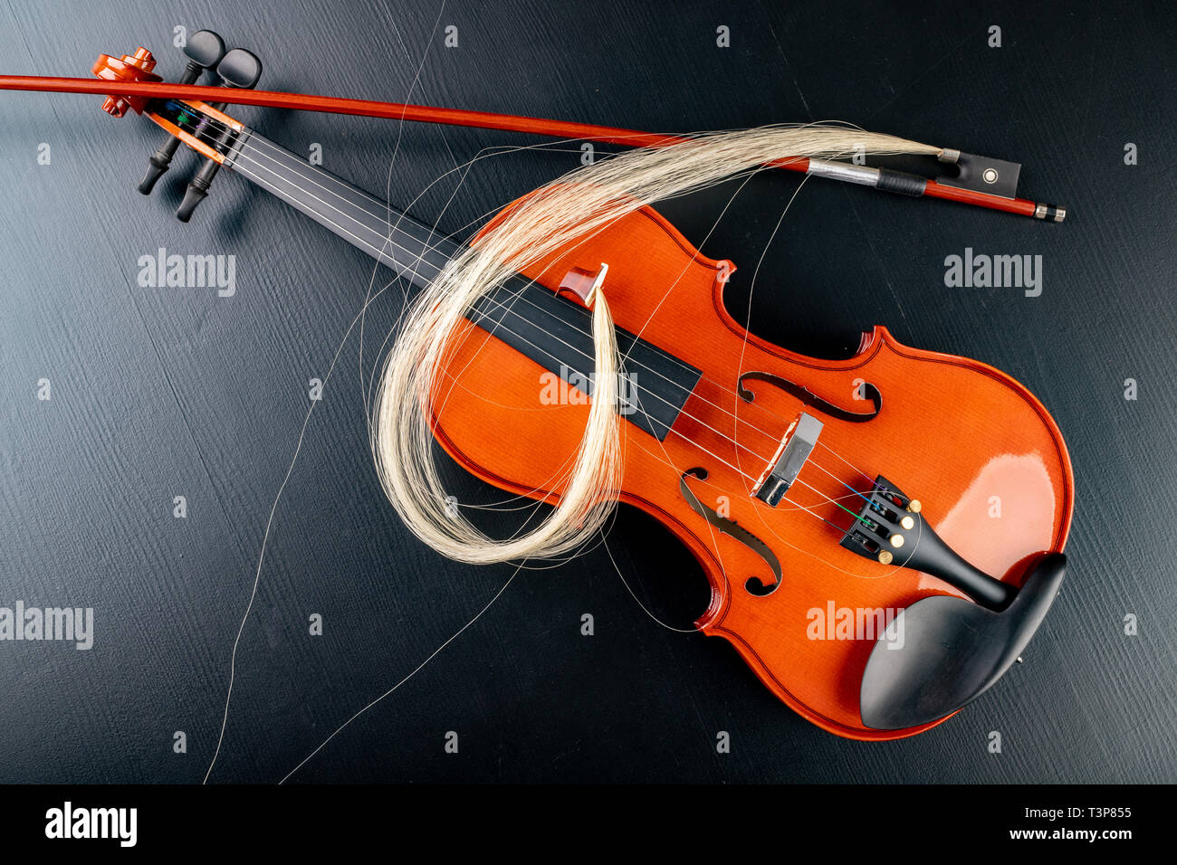 Broken bow to the violin. Damaged musical instrument. Dark background ...