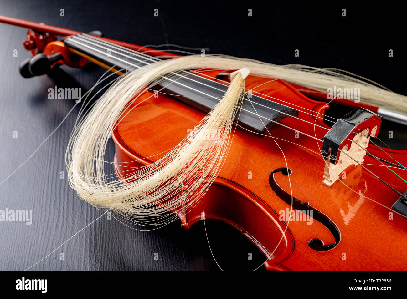 Broken bow to the violin. Damaged musical instrument. Dark background ...