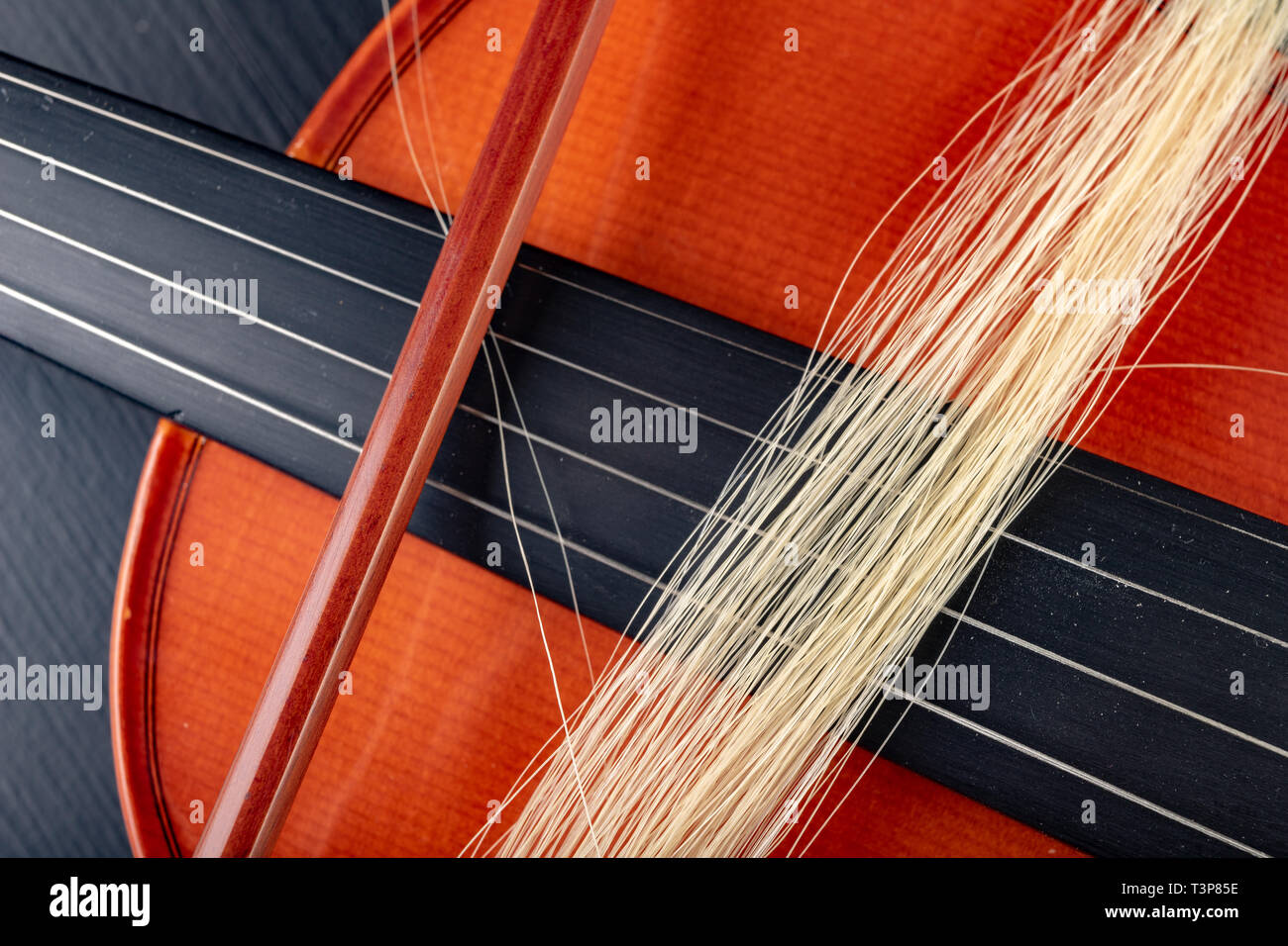 Broken bow to the violin. Damaged musical instrument. Dark background ...