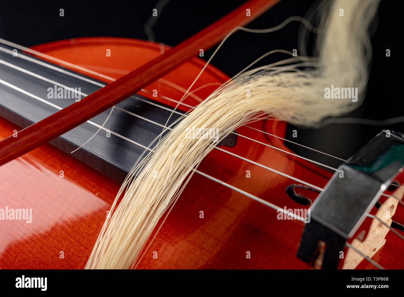 Broken bow to the violin. Damaged musical instrument. Dark background ...