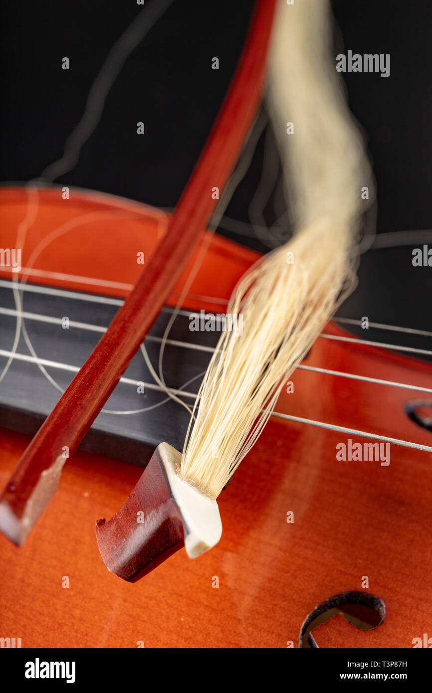 Broken bow to the violin. Damaged musical instrument. Dark background ...
