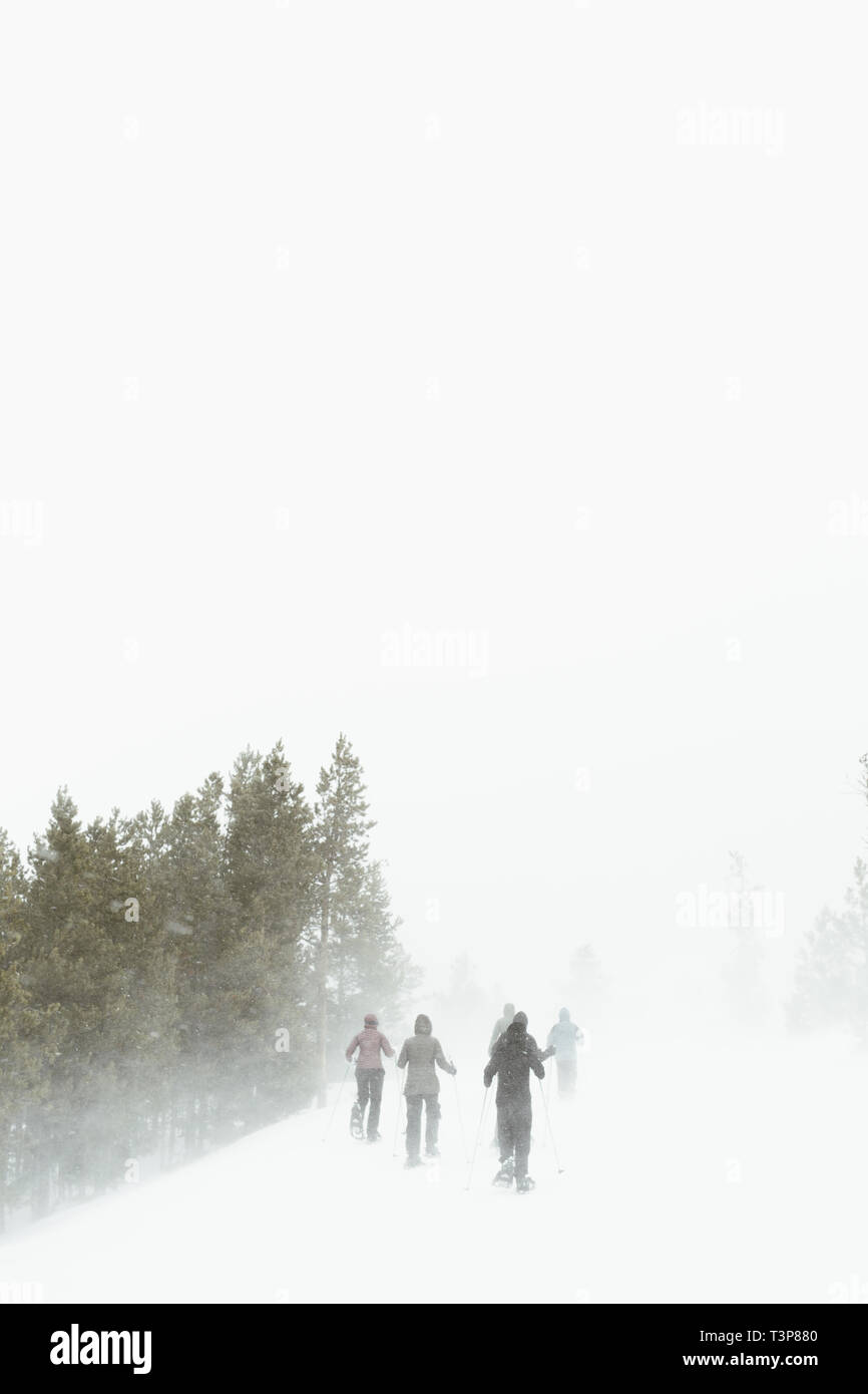 Wild river ice snow Cut Out Stock Images & Pictures - Alamy