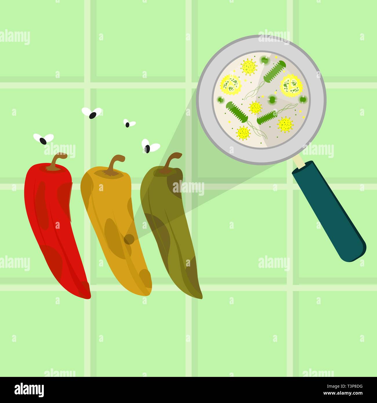 Rotting vegetables Stock Vector Images - Alamy