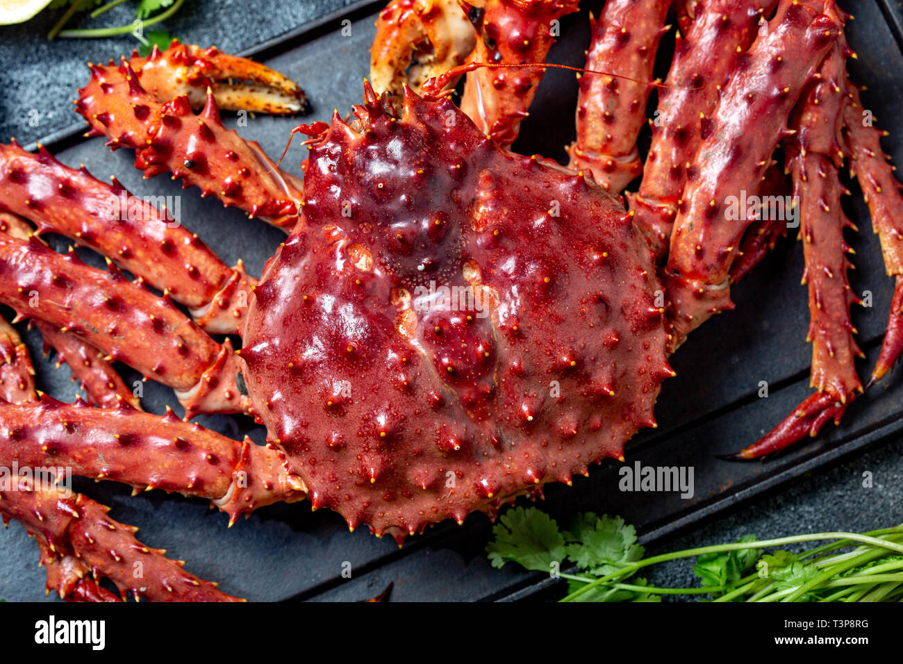 Red king crab on gray background. King crab, lemon and cilantro, top ...