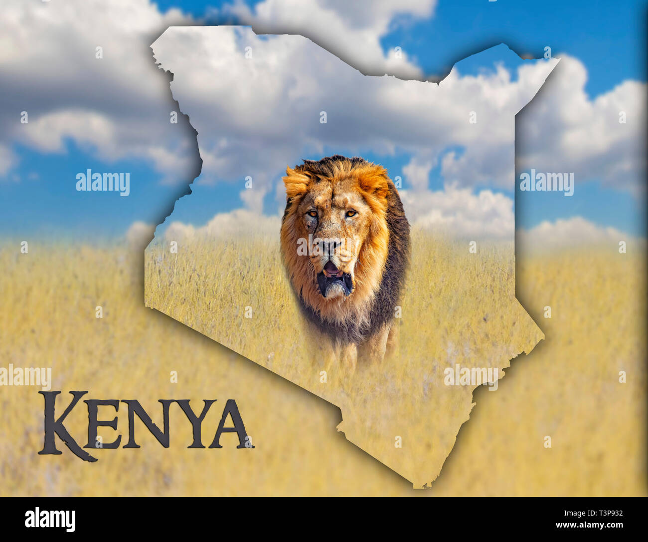 Flag Map of Kenya on which is a picture of a lion. There is the text of ...