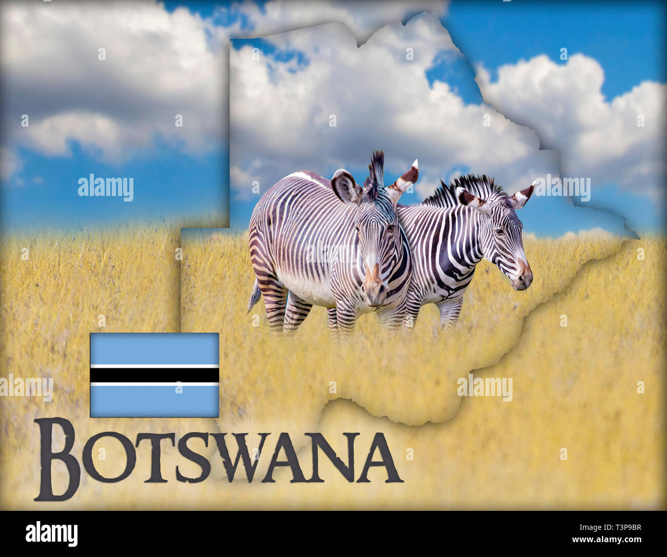 Flag Map of Botswana on which is a picture of a zebras. There is the ...