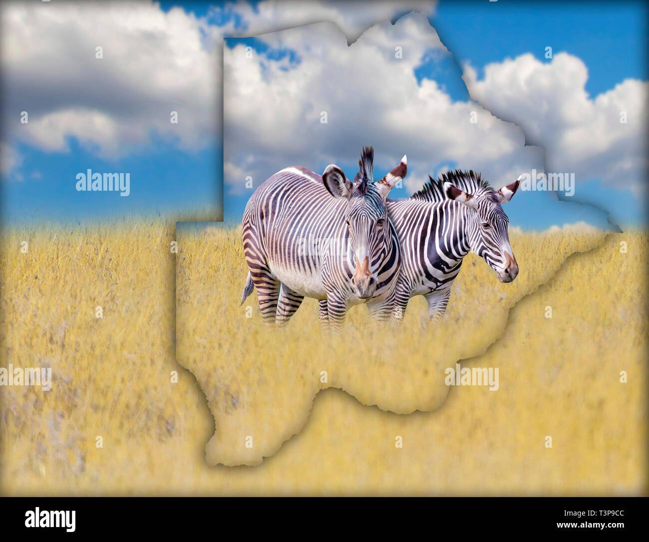 Zebras In Africa Map