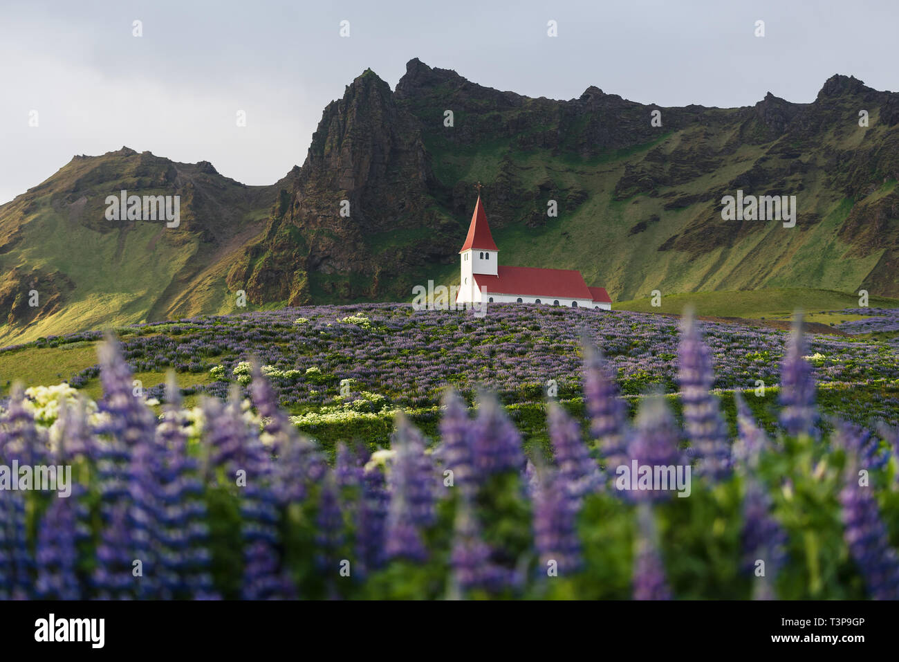 Iceland church on hill hi-res stock photography and images - Alamy