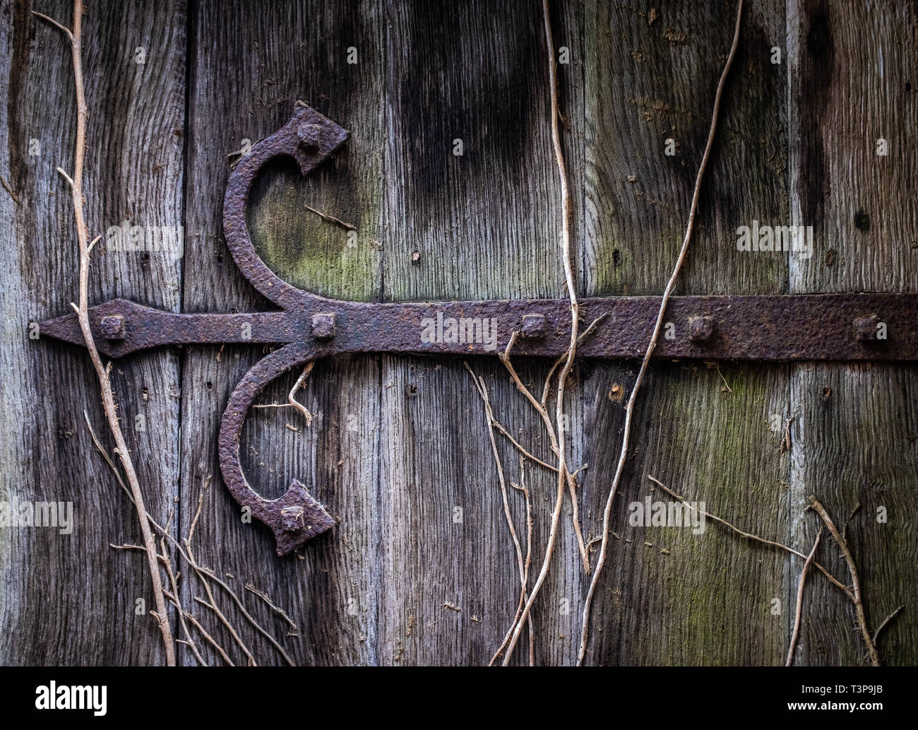 Ancient door hinge on wooden hi-res stock photography and images - Alamy
