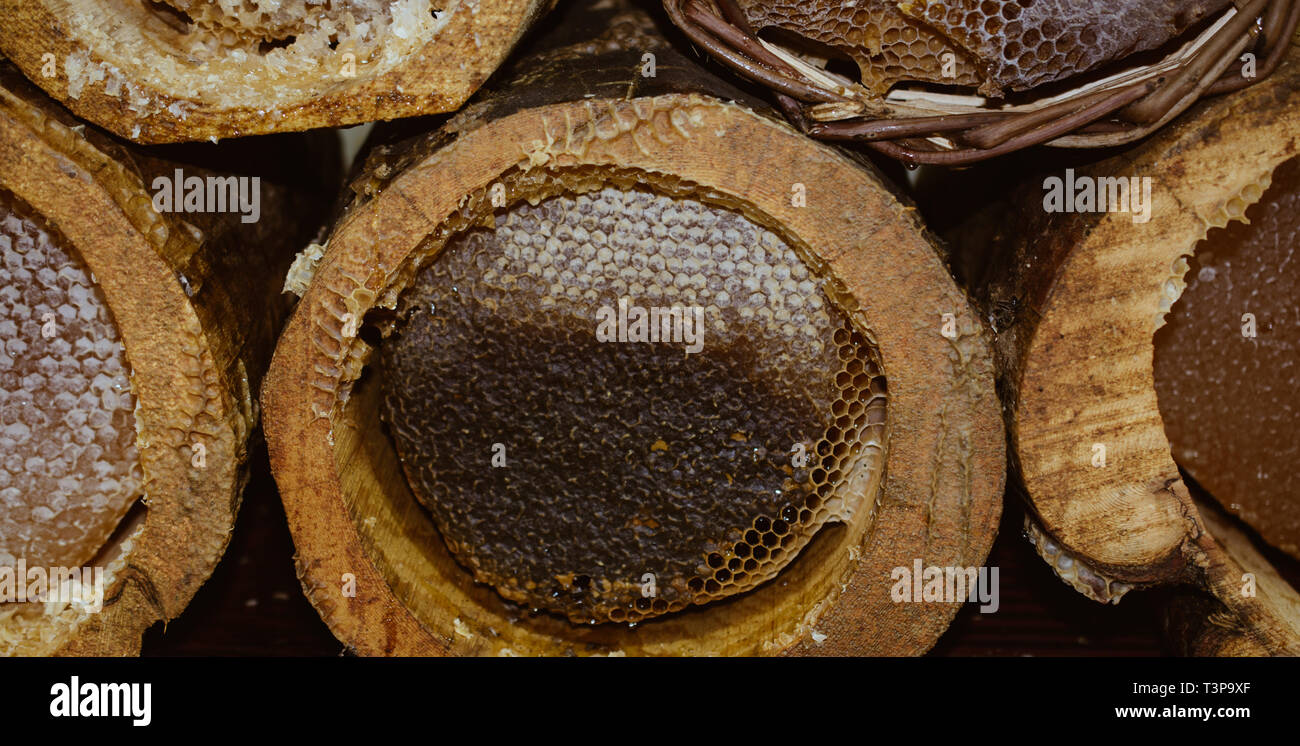 honeycomb from round beehive with sweet honey Stock Photo - Alamy
