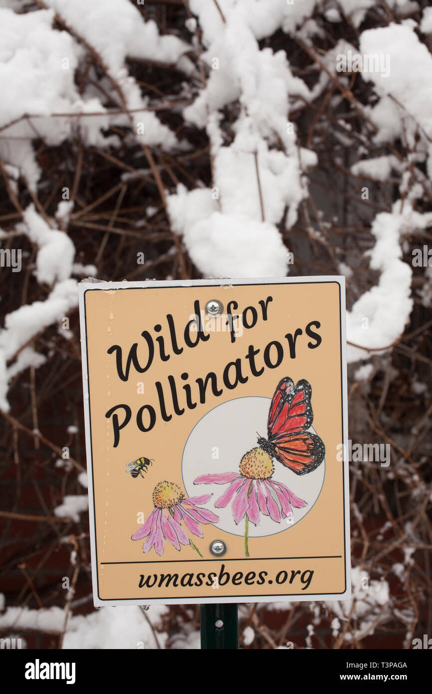 Save pollinators hi-res stock photography and images - Alamy