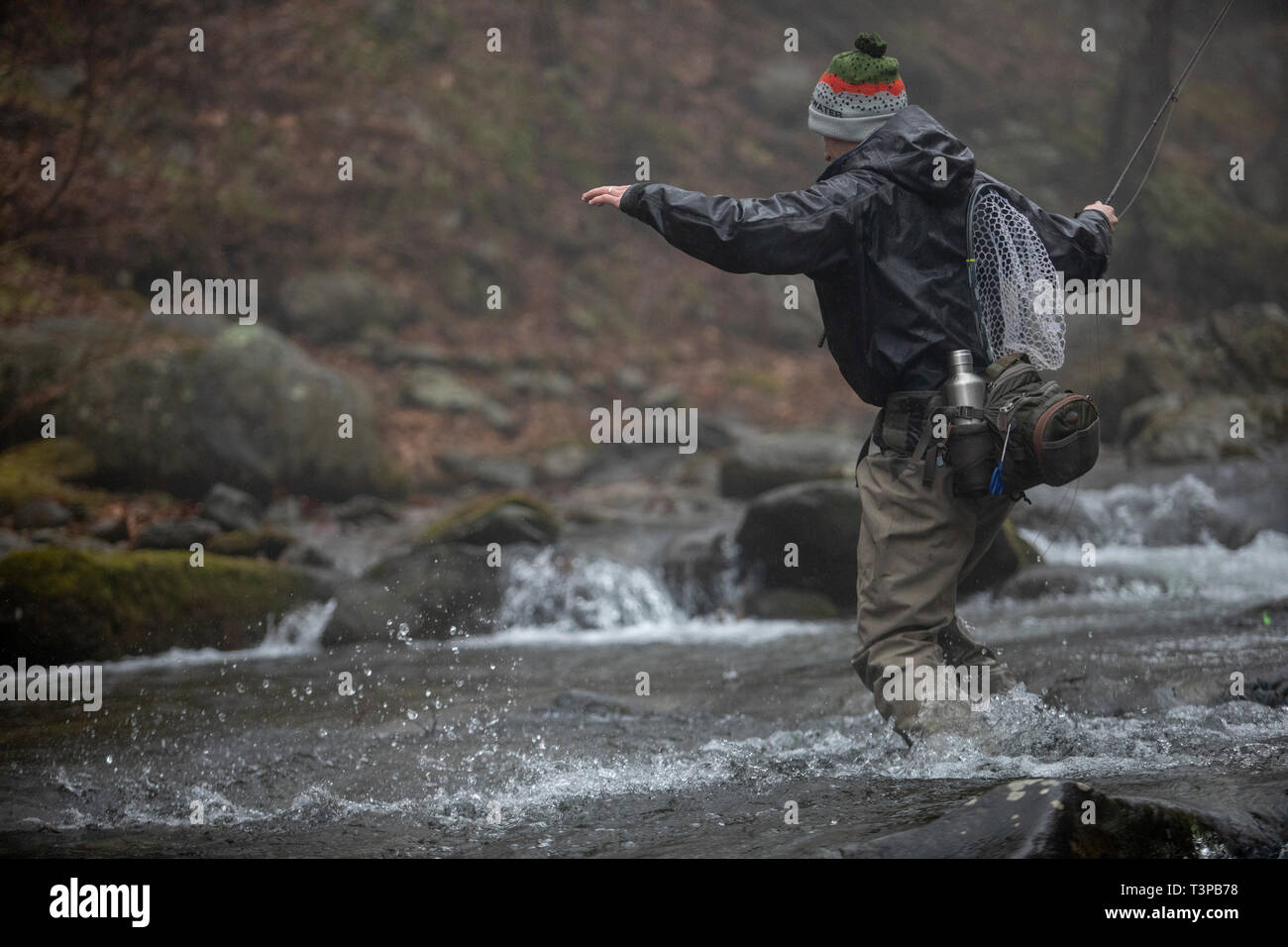 Brookie fishing hi-res stock photography and images - Alamy