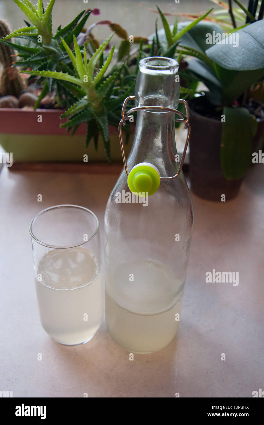 Water kefir beverage is in a liter glass bottle with the cap off ...