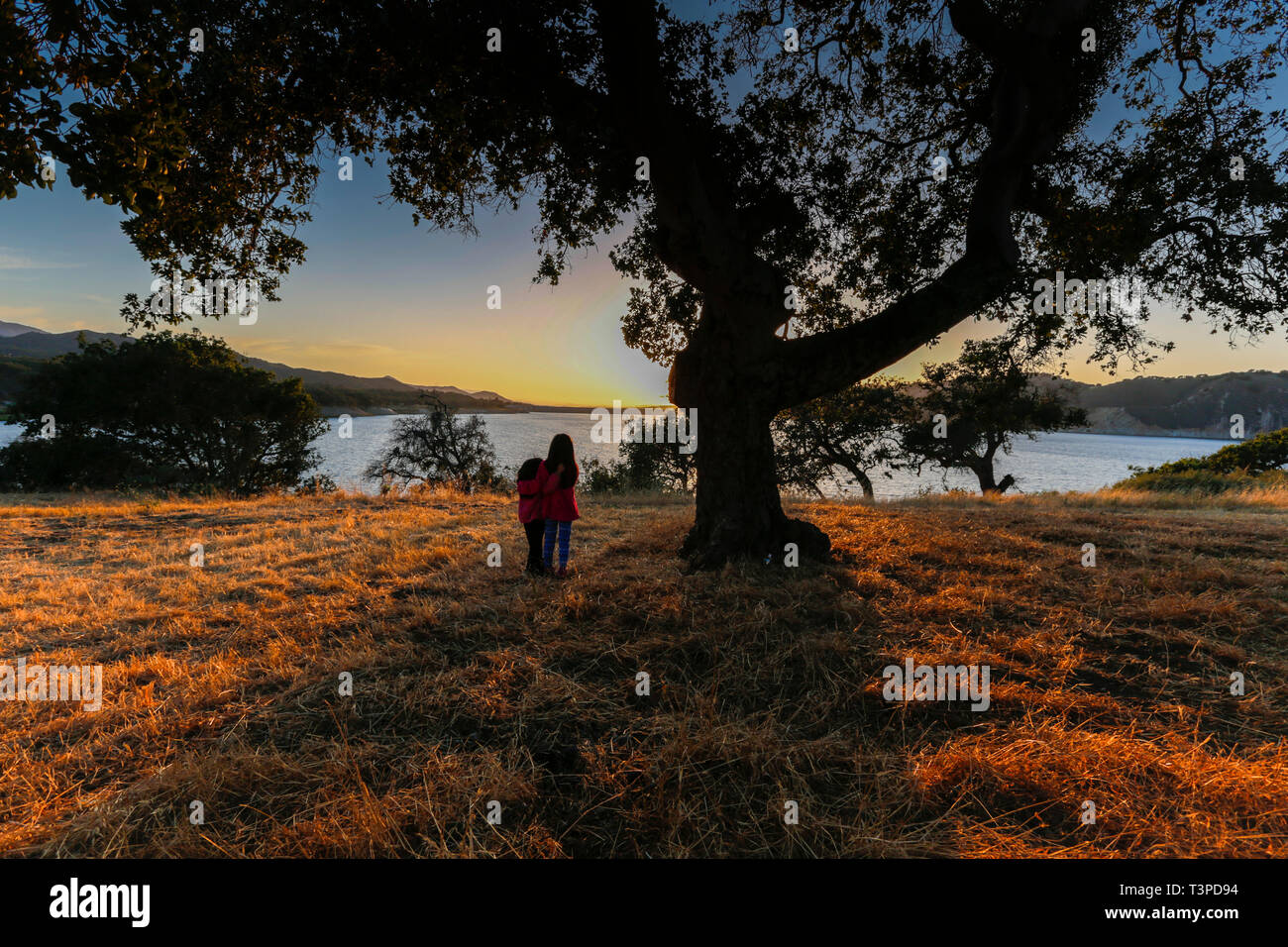 Two sisters hugging hi-res stock photography and images - Alamy