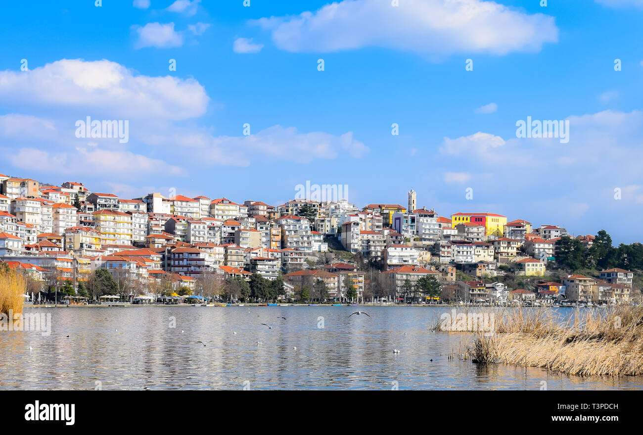 Birds flying around hi-res stock photography and images - Alamy