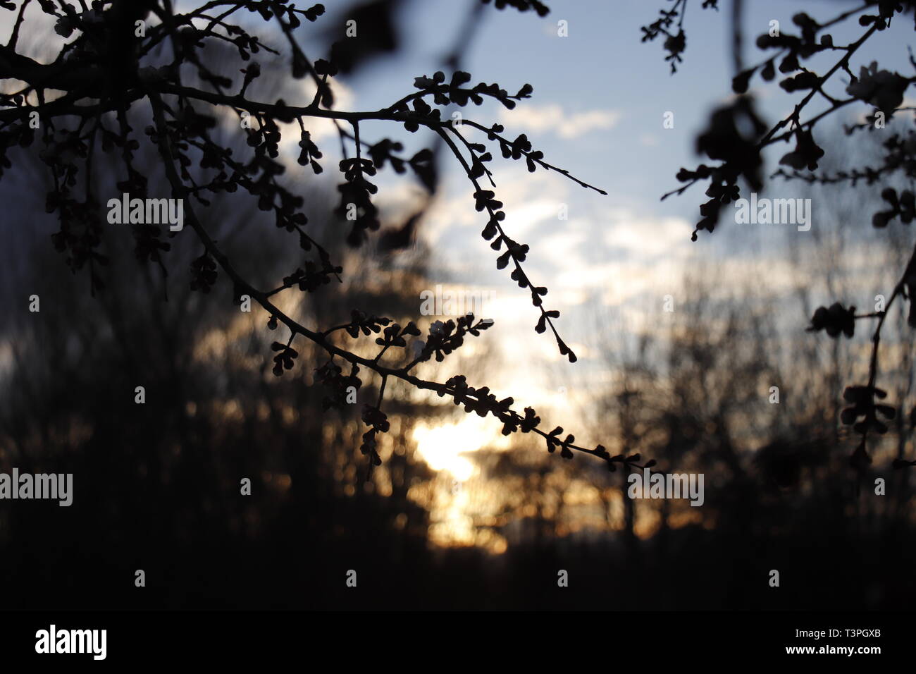 nature of Iran Stock Photo - Alamy