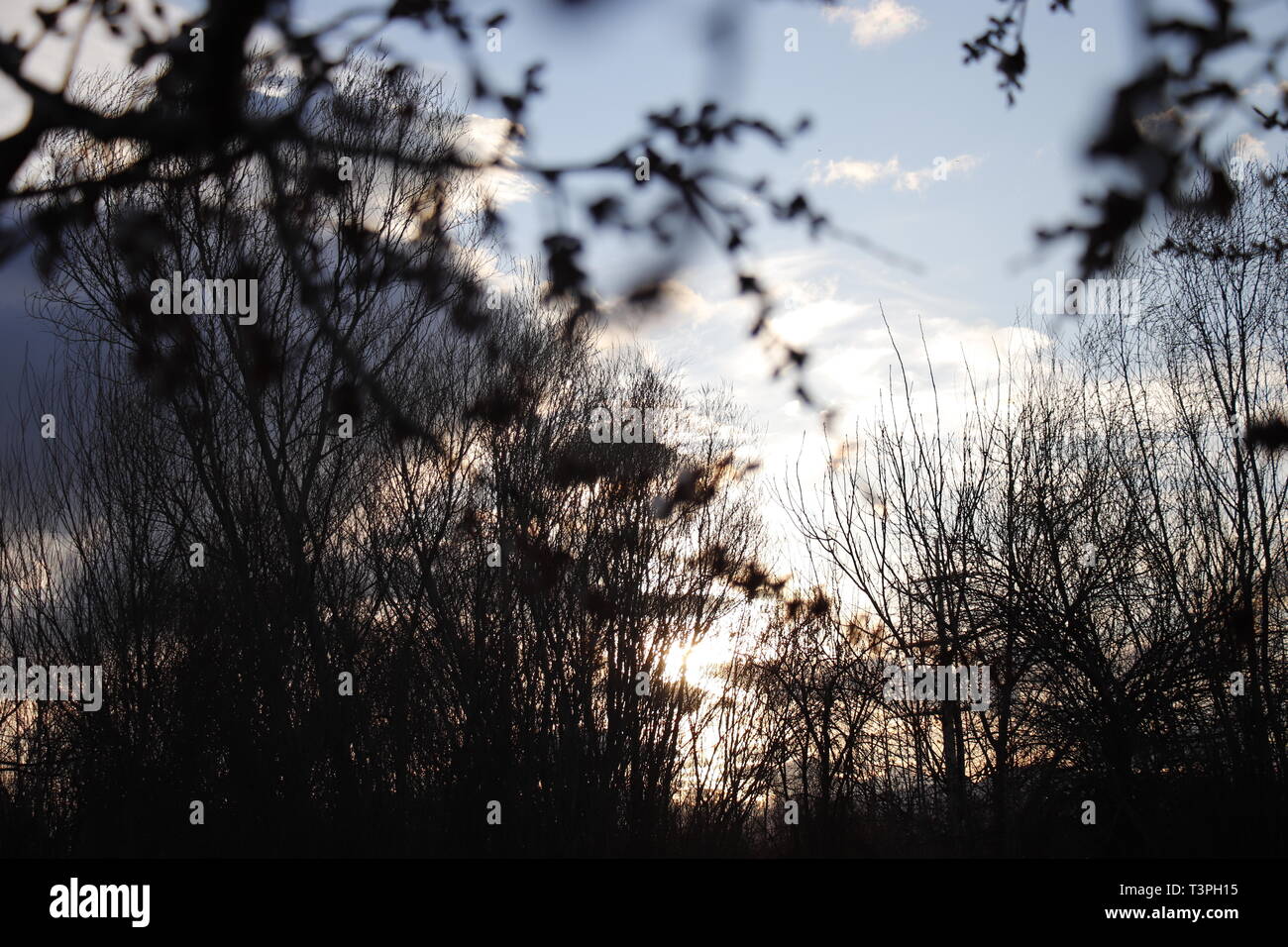 nature of Iran Stock Photo - Alamy