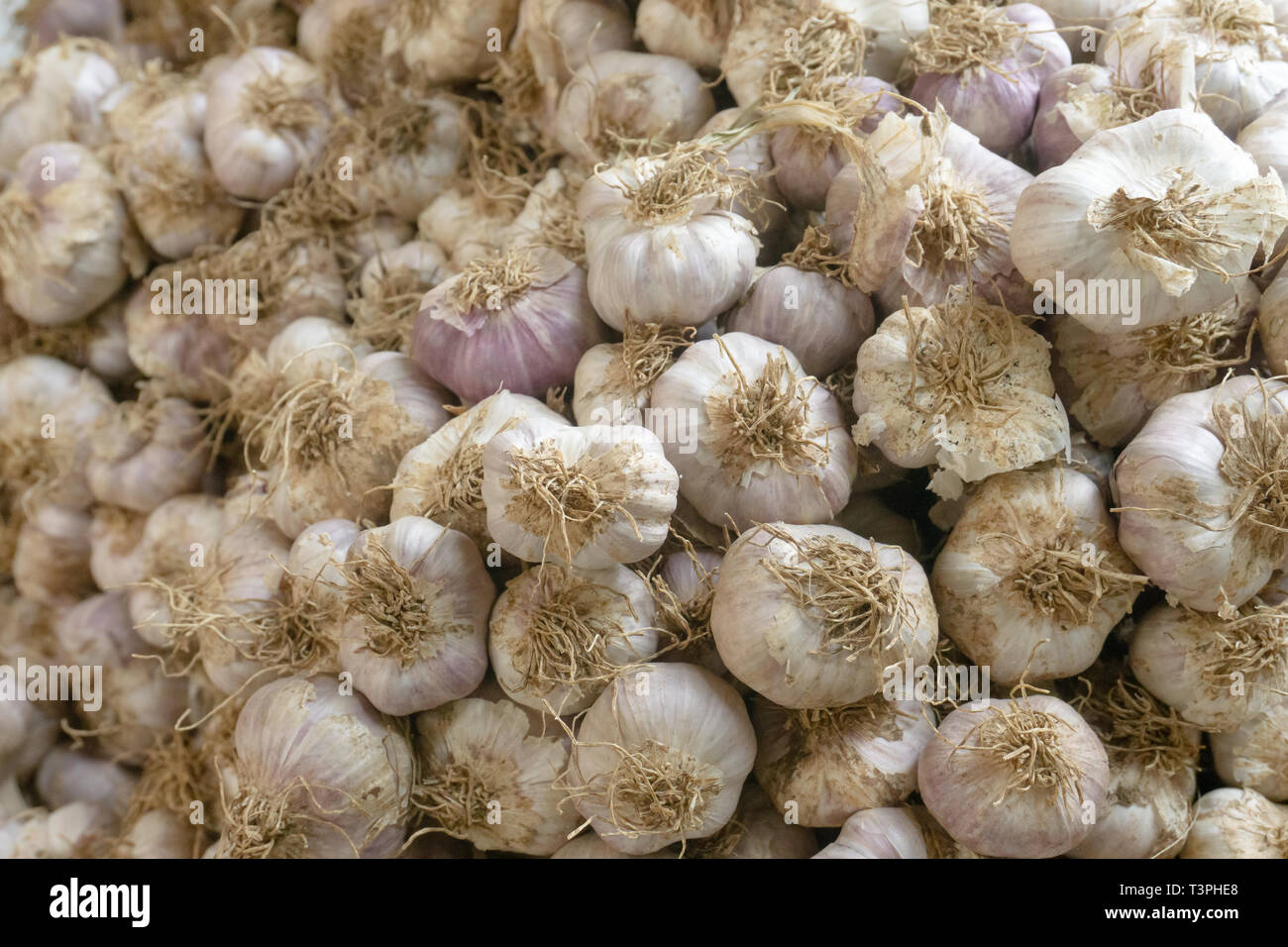 Texture of garlic hi-res stock photography and images - Alamy