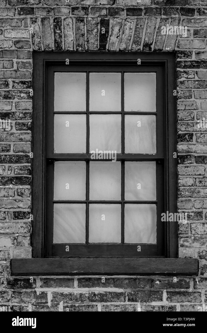 Portrait Black And White Window