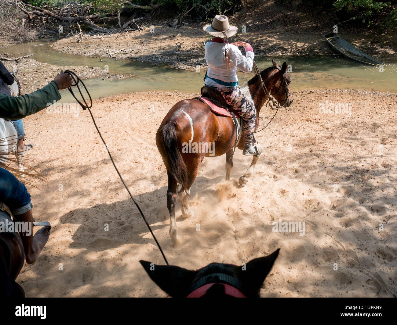 Plains venezuela hi-res stock photography and images - Alamy