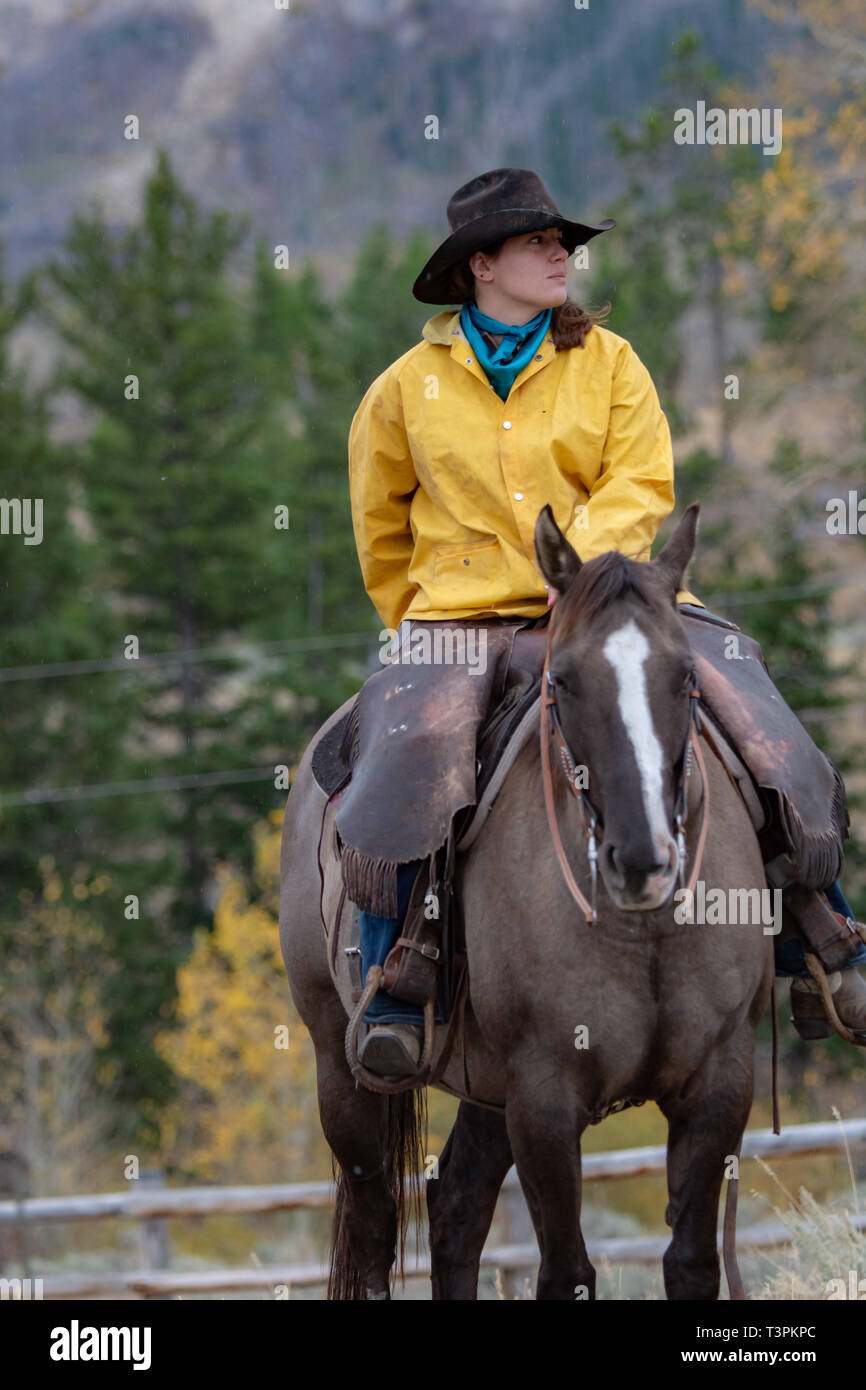 Horse cowboy rain hi-res stock photography and images - Alamy
