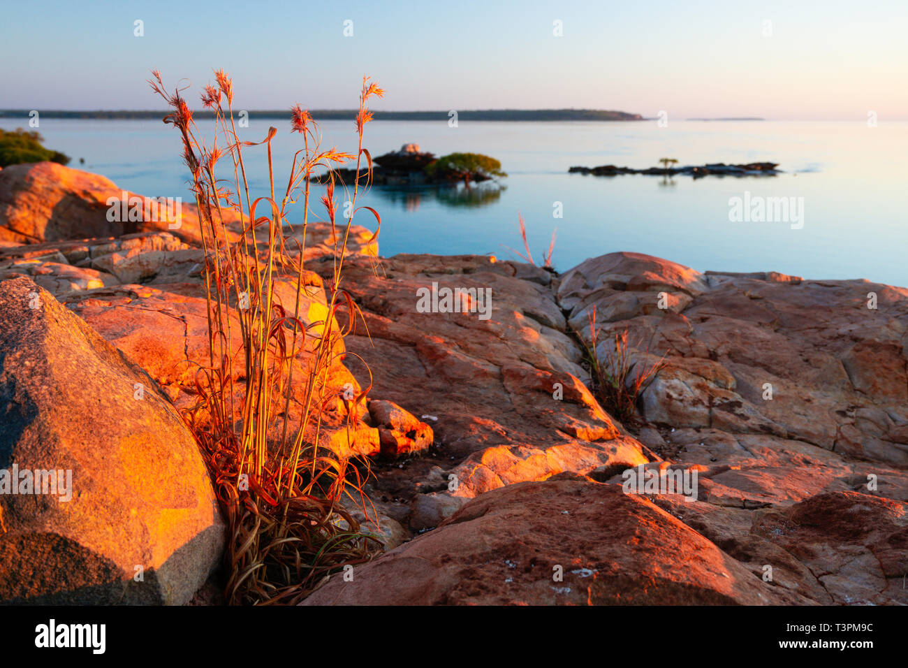 Rocky headland of red rock at sunrise on Dampier Peninsular, Western ...