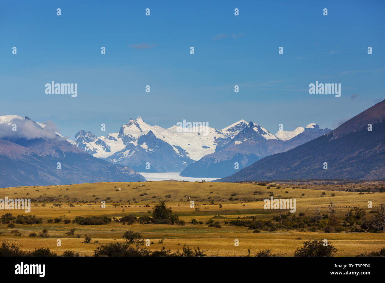 Patagonia landscapes in Southern Argentina Stock Photo - Alamy
