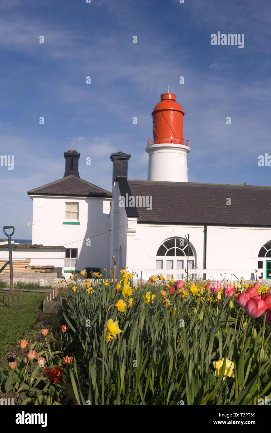 Souter lighthouse sunderland hi-res stock photography and images - Alamy