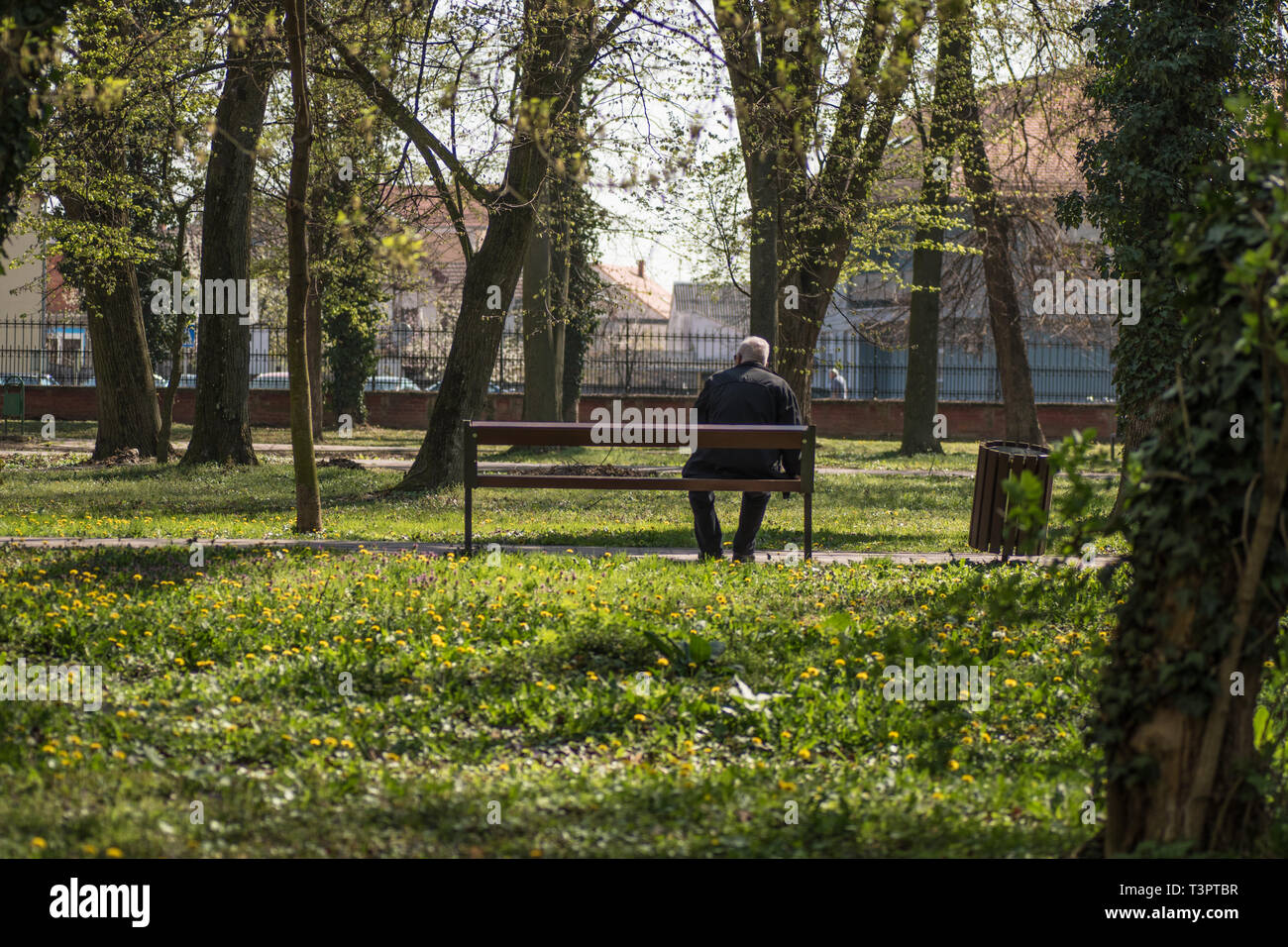 Retired man alone on park hi-res stock photography and images - Alamy