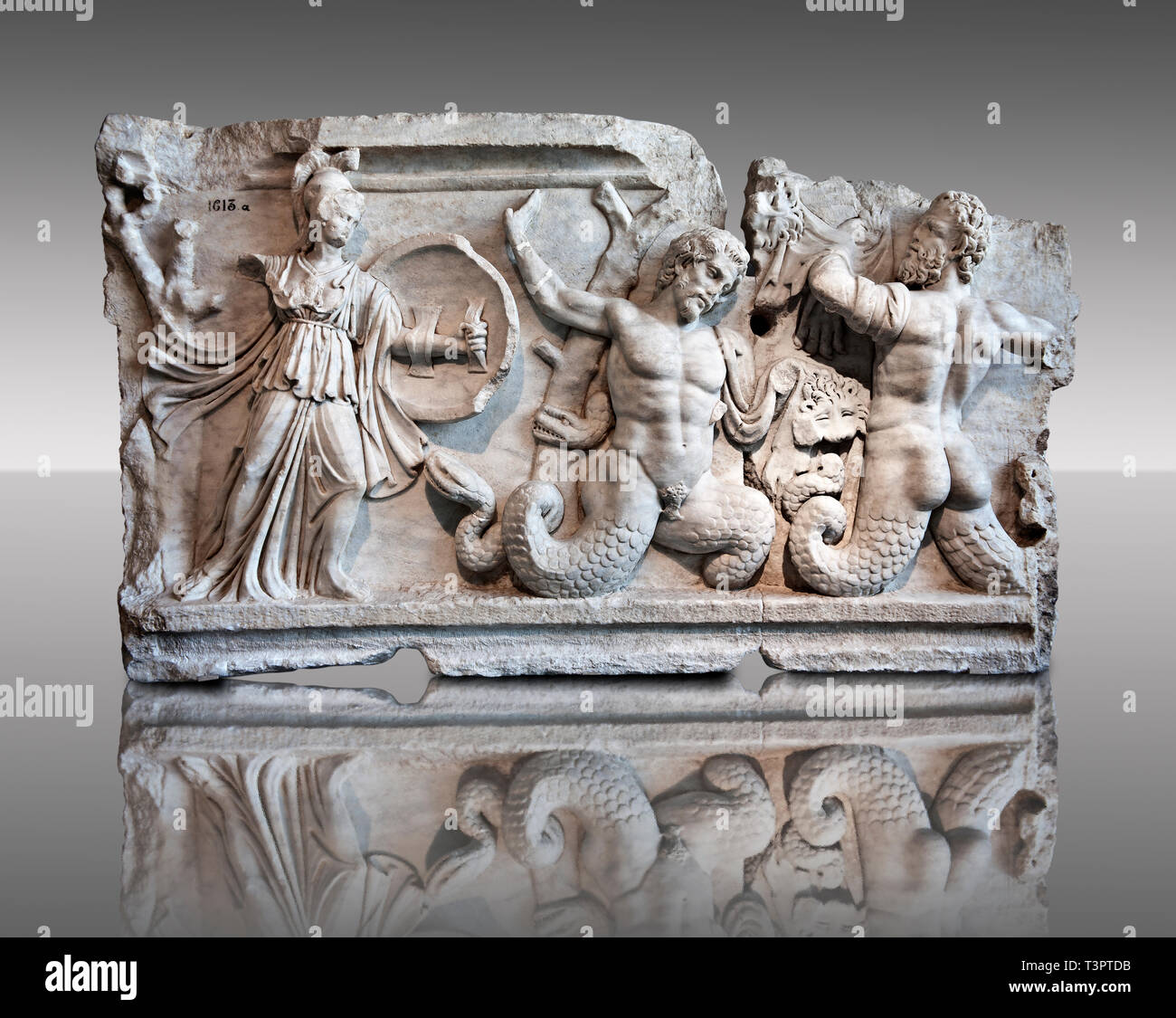 Medusa And Athena Fighting