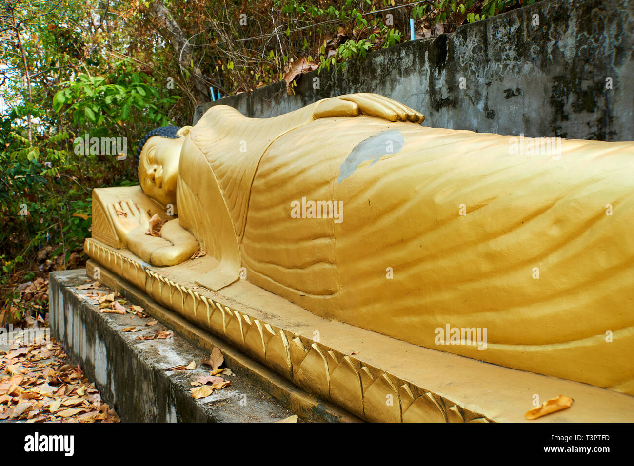 The disciples of Buddha. Back view. Sambok Pagoda, Kratie Cambodia ...