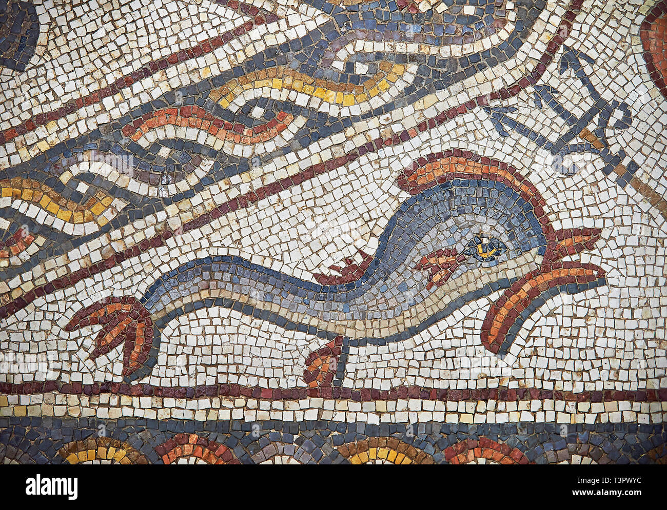 Dolphin Ancient Roman Mosaics Pompeii
