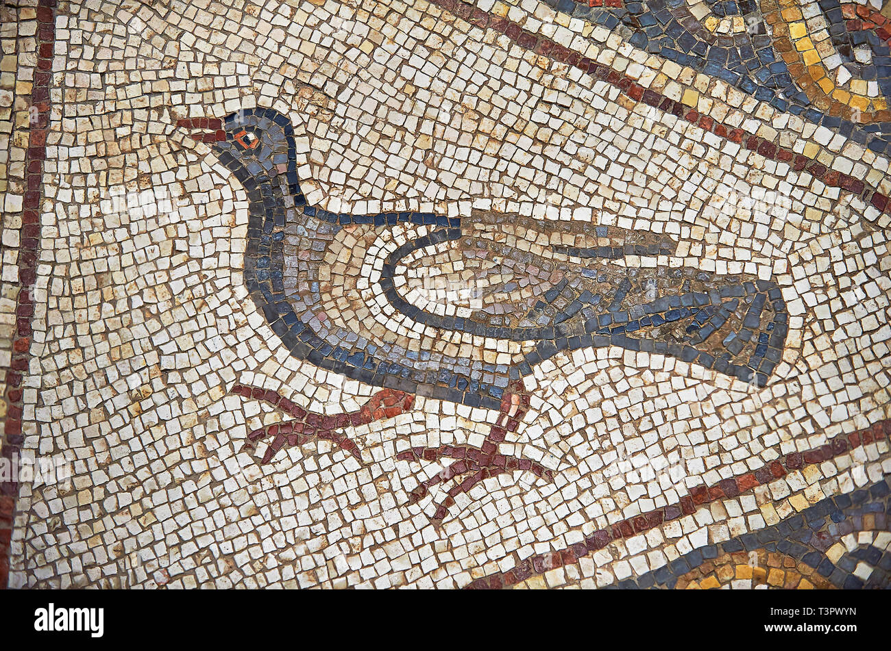 Bird from the 3rd century Roman mosaic villa floor from Lod, near Tel ...