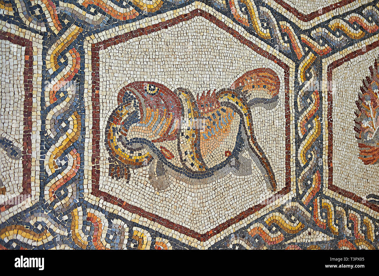 Roman mosaic fish hi-res stock photography and images - Alamy