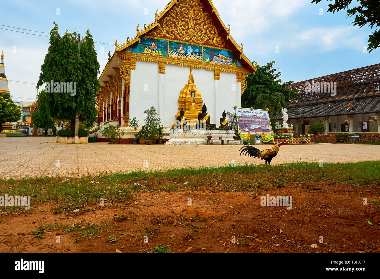 Top view of Pakse,Mountain and Mekong River in Laos Stock Photo - Alamy